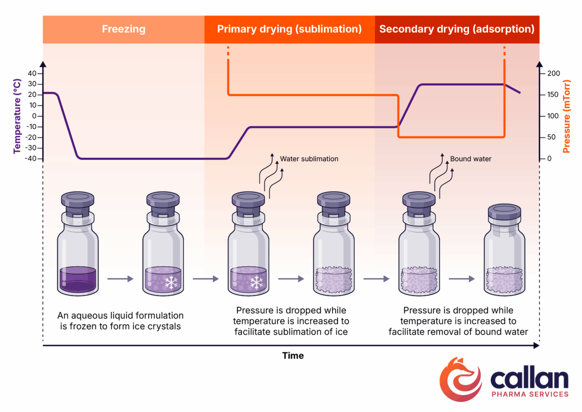 Basics of Pharmaceutical Lyophilization – Callan Pharma Services