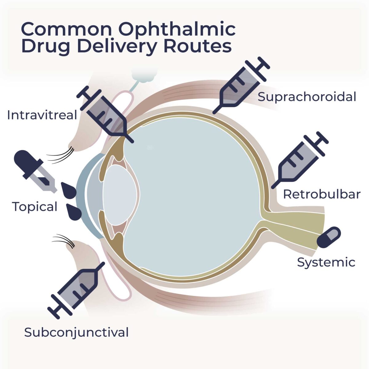 Ophthalmic Drug Development – Callan Pharma Services